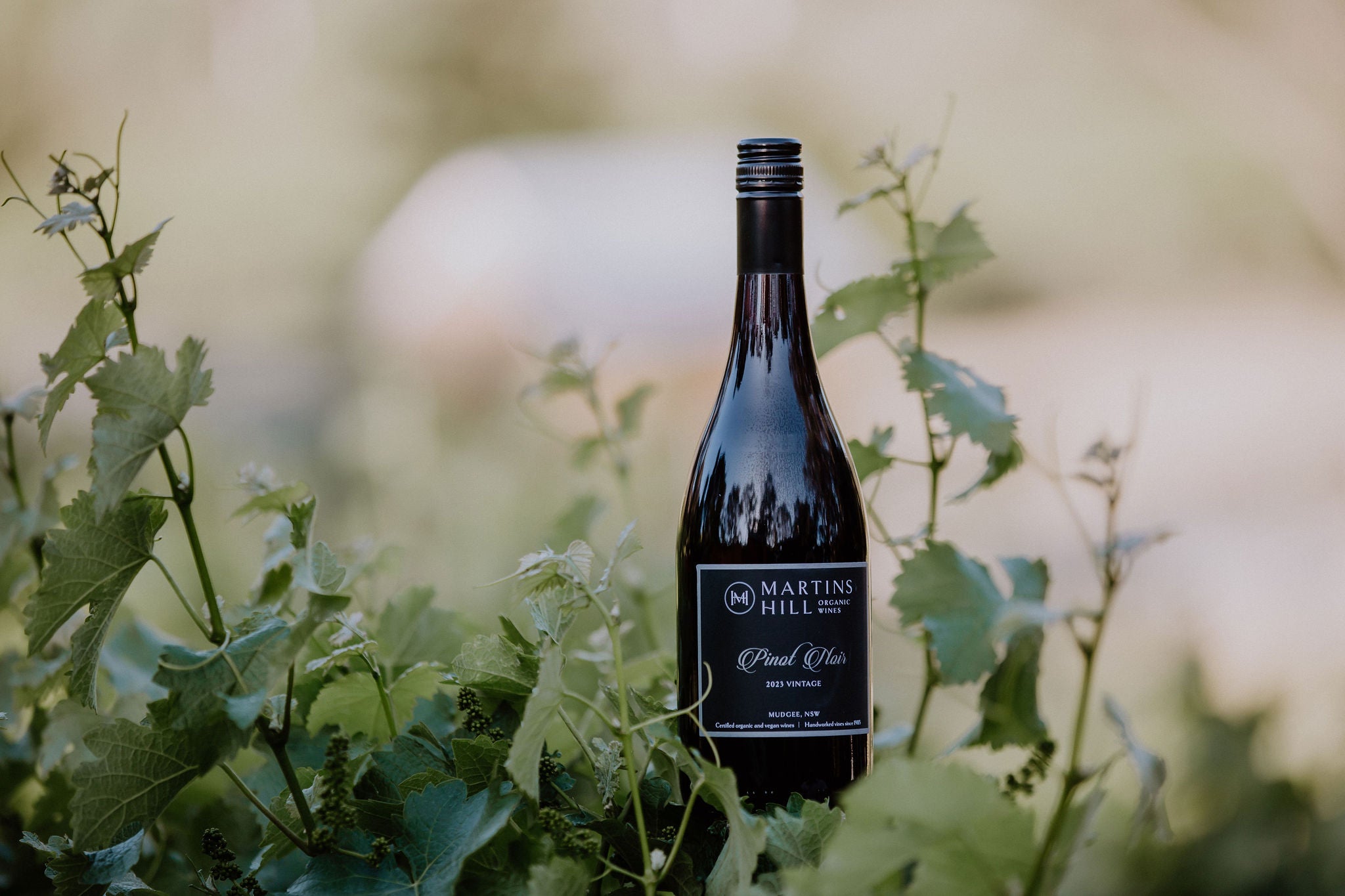 Red – Martins Hill Organic Wines