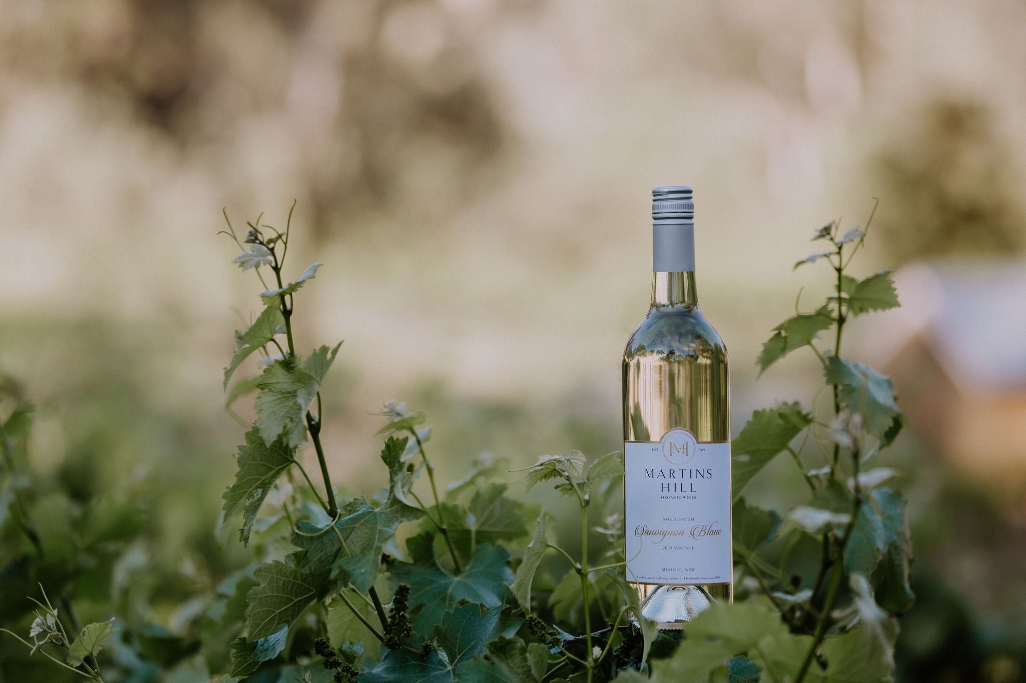 White & Rosé – Martins Hill Organic Wines